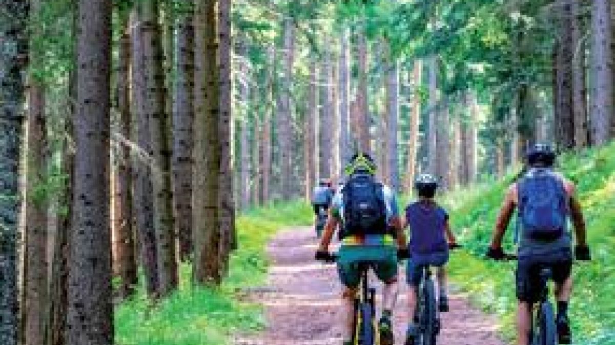 SiH 04/2025 | Sport in Hessen